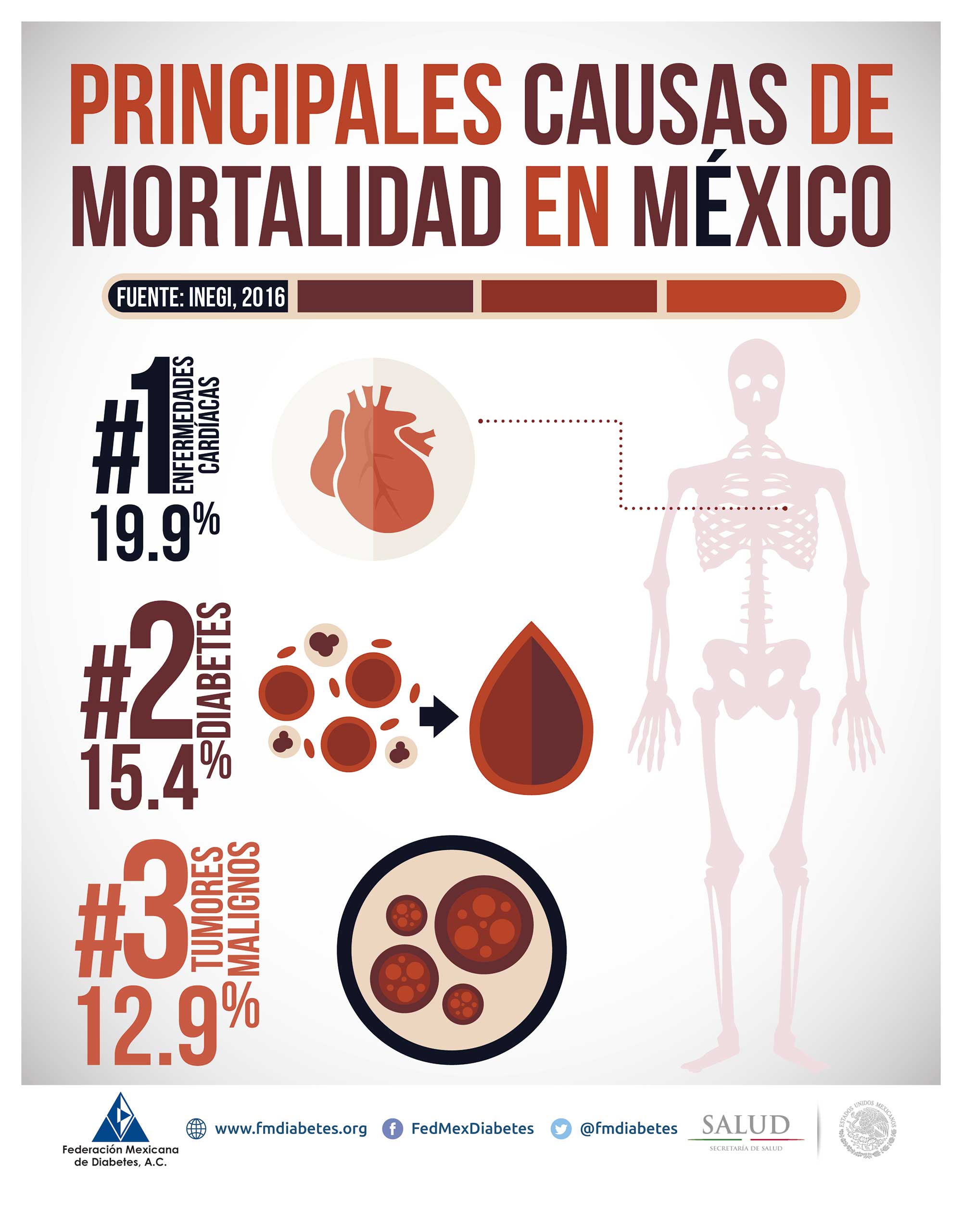 Principales causas de mortalidad en mexico - Federación Mexicana de ...